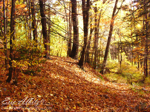 The cooler fall weather calls for long sleeves and campfires.
