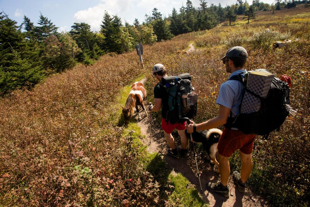 Seek New Adventures in Southwest Virginia - Sponsored Content - Blue ...