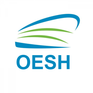 OESH Shoes: 3D Printing the Perfect Summer Sandal - Sponsored Content ...