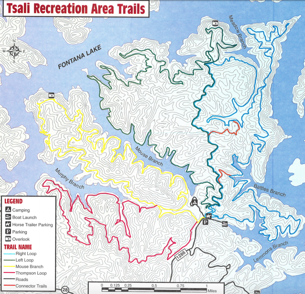 An Insider's Guide to Mountain Biking the Tsali Recreation Area - Go ...