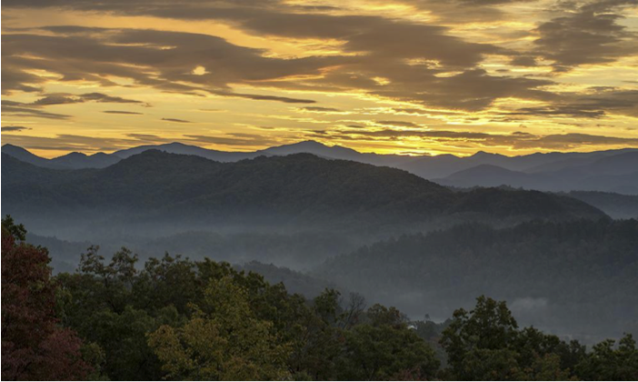 Tremont Institute: Live & Learn in the Smokies - Sponsored Content ...