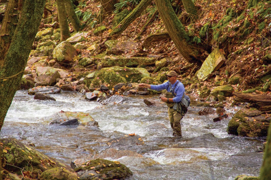Blue Ridge Fly Fishing Guide - Blue Ridge Outdoors Magazine