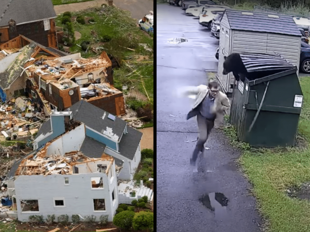 How to Build Your Own Bike Shop - Biking - Blue Ridge Outdoors Magazine