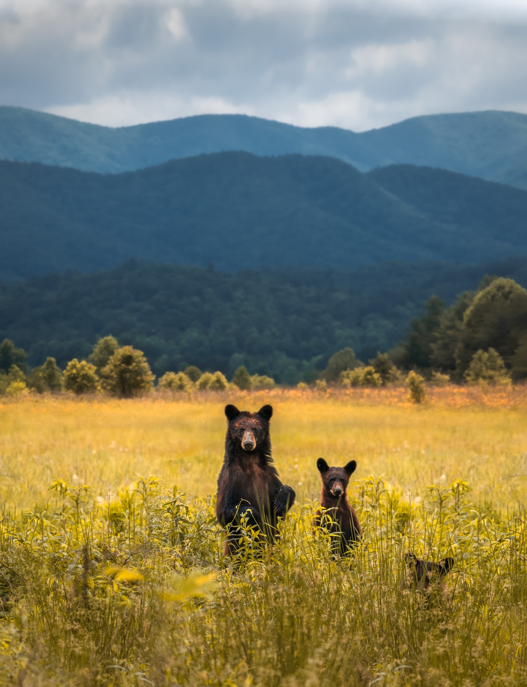 Q&A: Winner of Blue Ridge Outdoors Magazine’s 2023 Cover Photo Contest ...