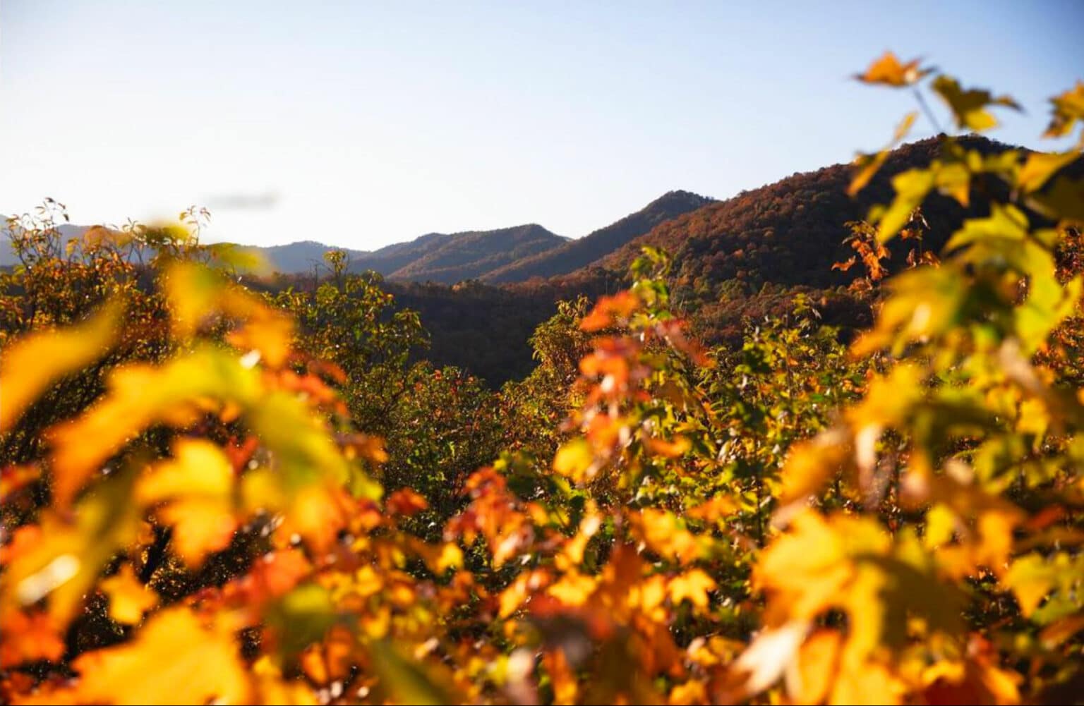 The Next Great Mountain Towns in the Blue Ridge